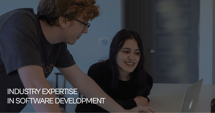 Various Sectors For Software Development