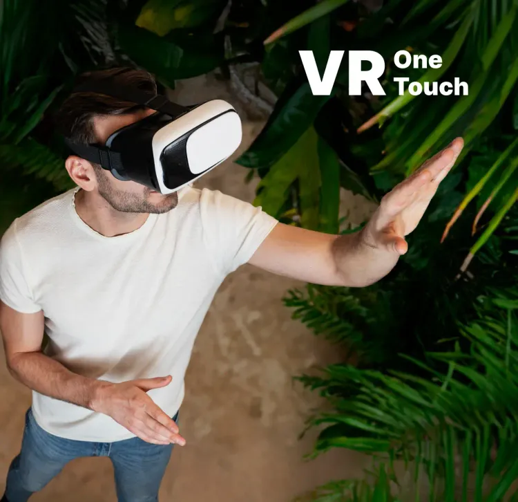 Cinematic Virtual Reality Distribution