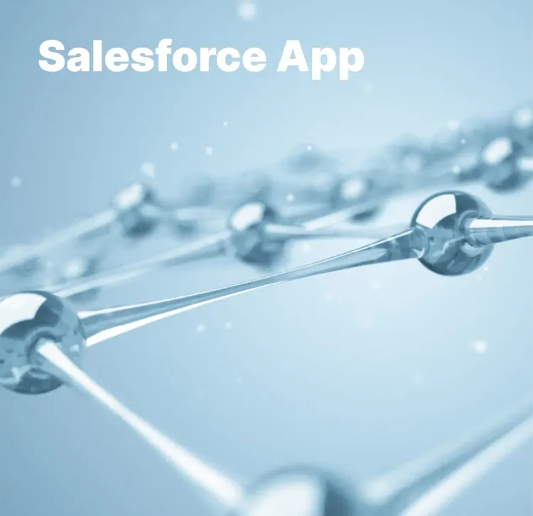 Salesforce application for support center processes automation